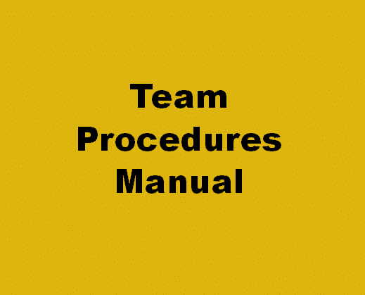 Team Procedures Manual - Real Impact Group